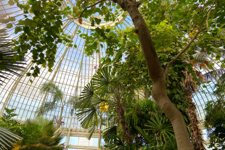 Plan your visit - Buffalo and Erie County Botanical Gardens - Get Your ...