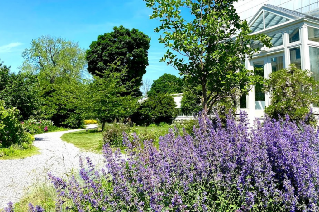 Our Botanical Gardens - Buffalo and Erie County Botanical Gardens