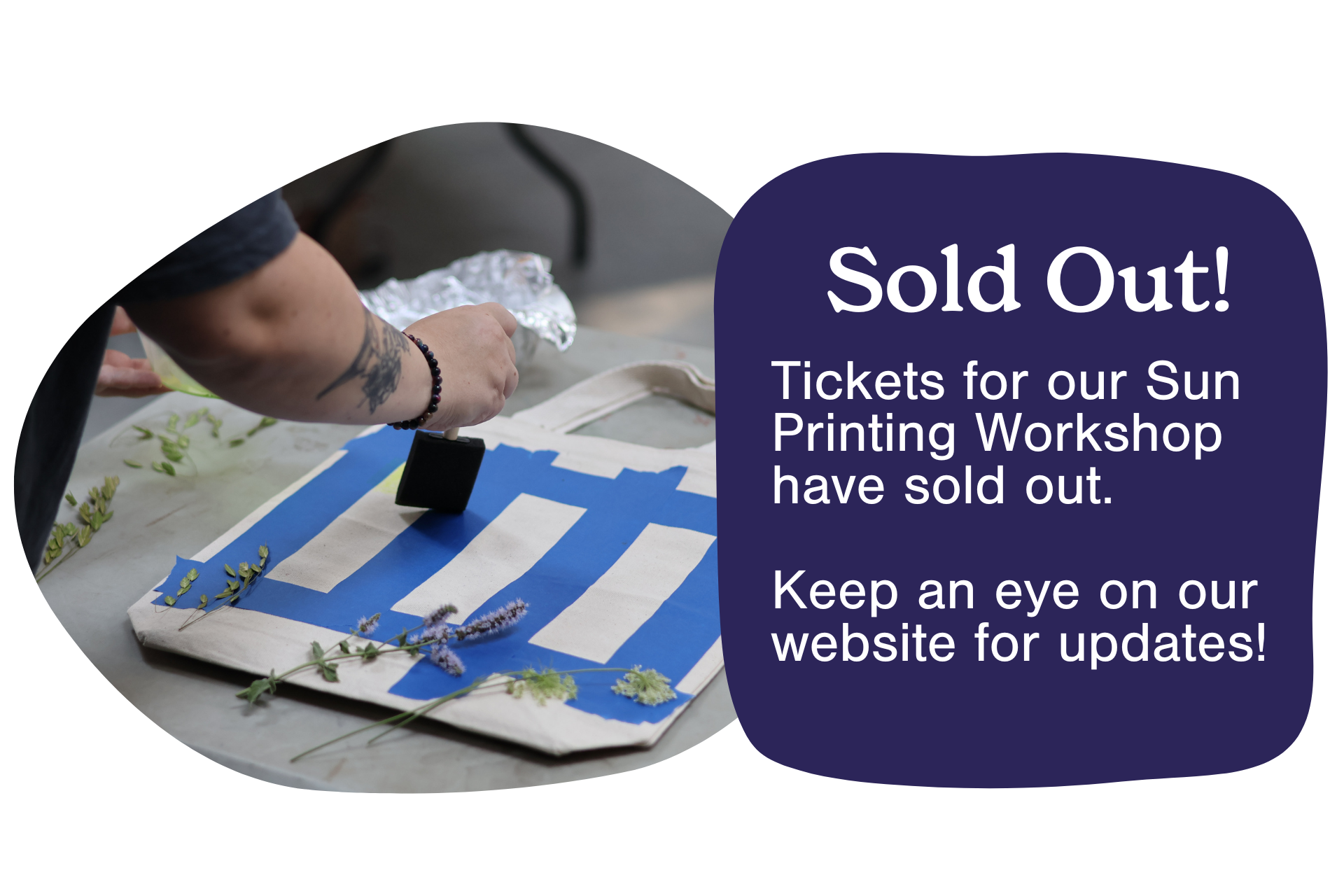 Sun Printing Workshop - Buffalo and Erie County Botanical Gardens