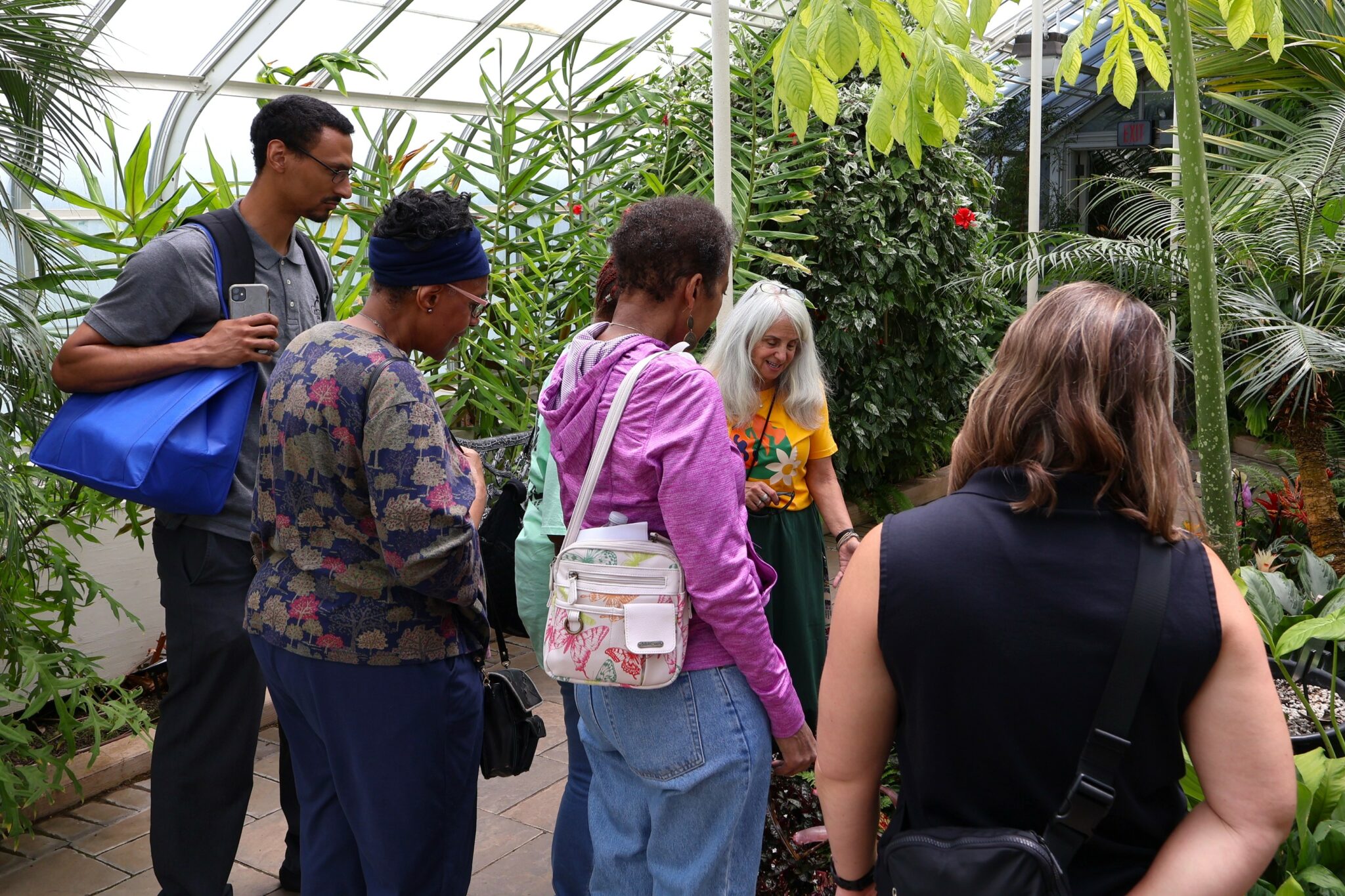 Things to Do in Buffalo | Buffalo & Erie County Botanical Gardens
