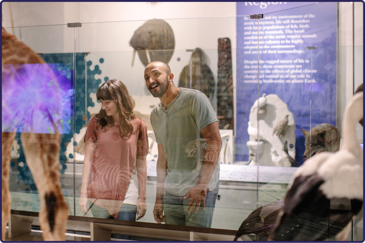 Top 5 Indoor Things to Do in Buffalo - Buffalo and Erie County ...